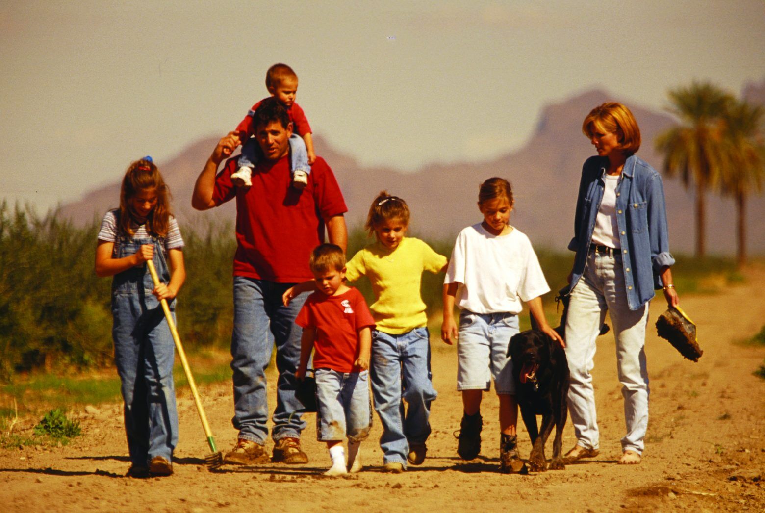 The Family Behind Arizona’s Only Olive Mill—and the Desert That Made It ...